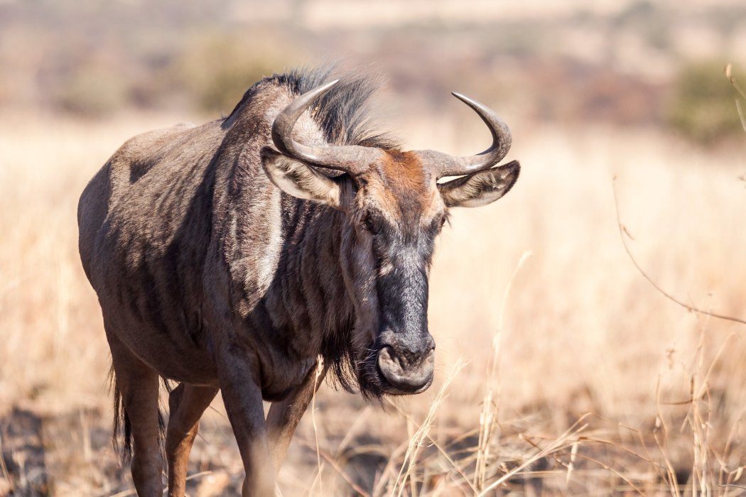 16 Things to See and Do in Dallas - Destination Tips