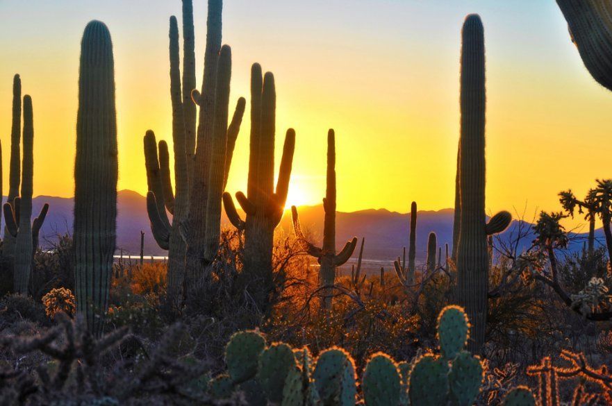 10 Scenic Spots in Arizona - Destination Tips