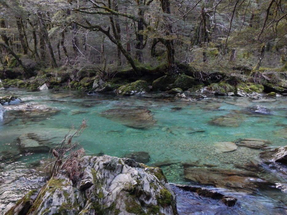 13 Strange Disappearances in the National Parks System - Destination Tips