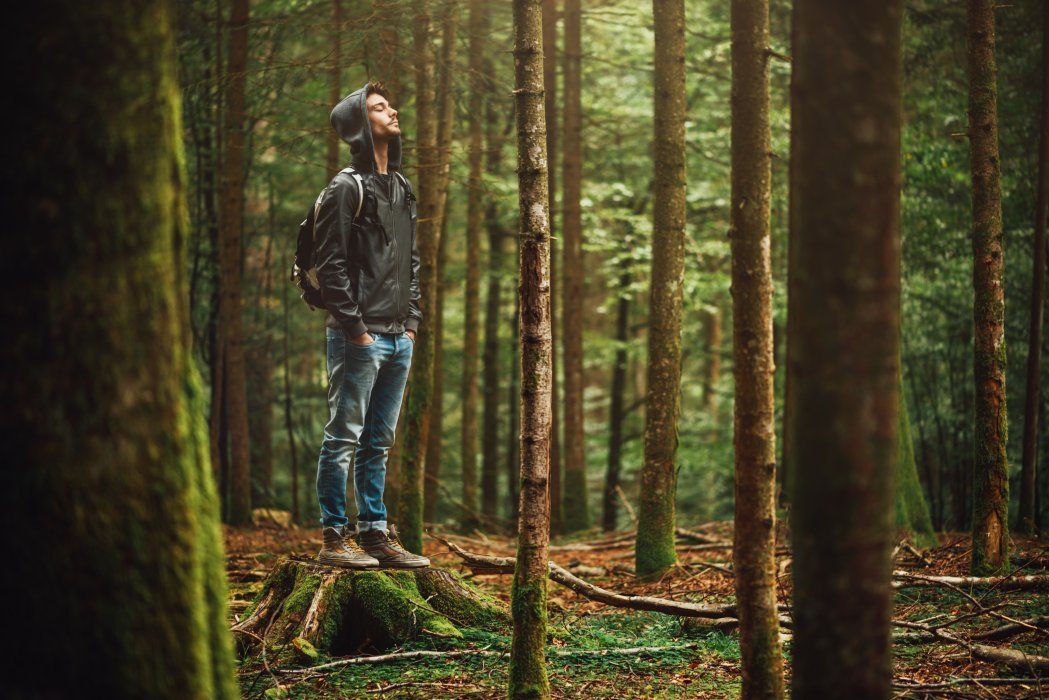 What To Do When You're Trapped In the Woods - Destination Tips