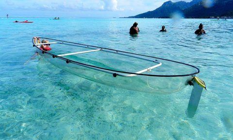 Transparent Kayaks Offer New Views of Ocean Exploring - Destination Tips