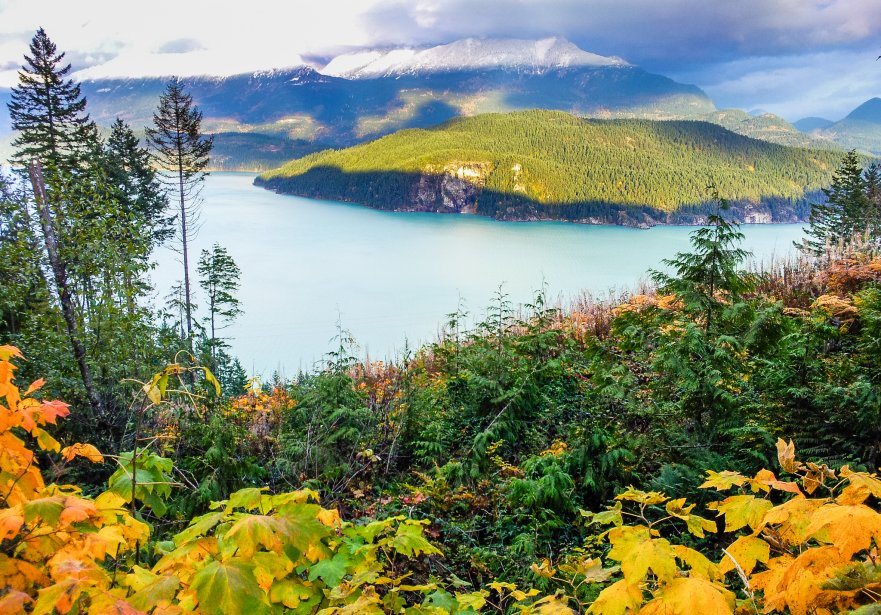 21 Islands You Can Buy to Escape Trumpland, Some for Less Than a ...