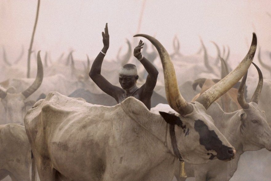 21 Facts About the Dinka Tribe of South Sudan - Destination Tips