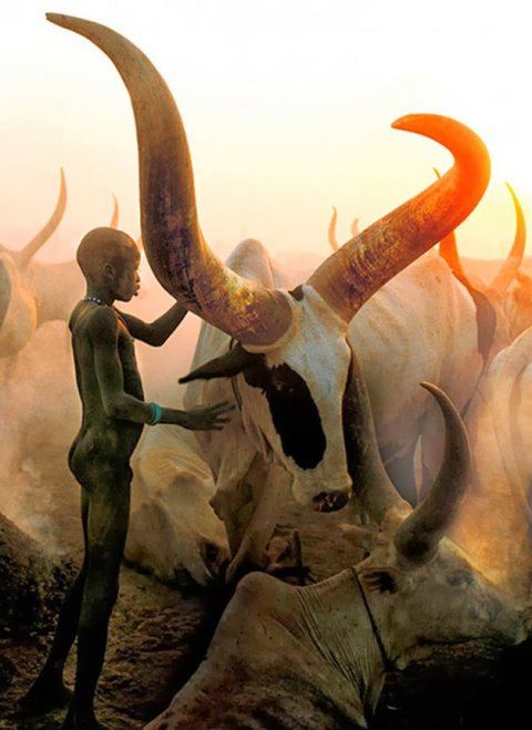 21 Facts About The Dinka Tribe Of South Sudan Page 4 Of 21 Destination Tips