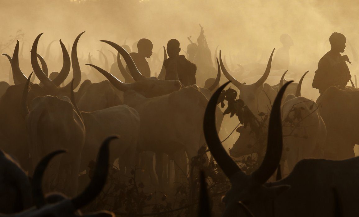 21 Facts About the Dinka Tribe of South Sudan - Destination Tips