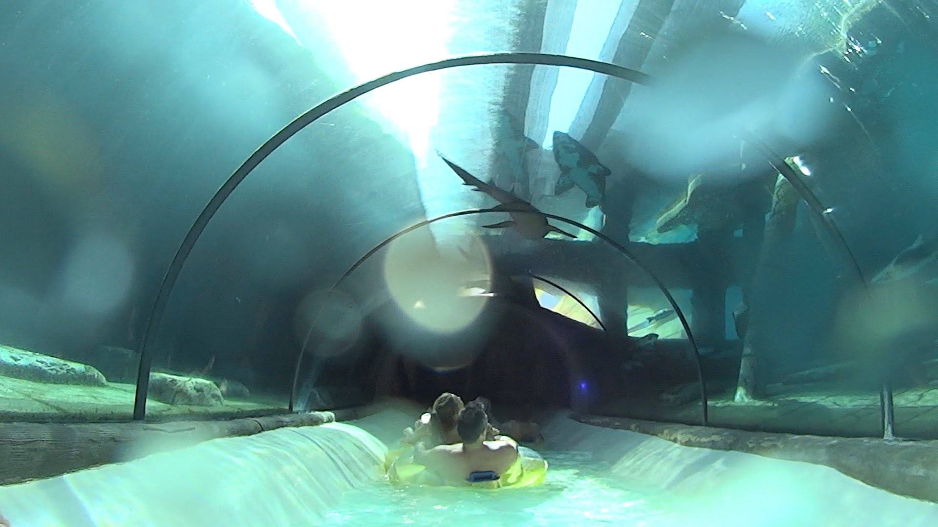 There's a Waterslide in Spain that Goes through a Shark Tank ...